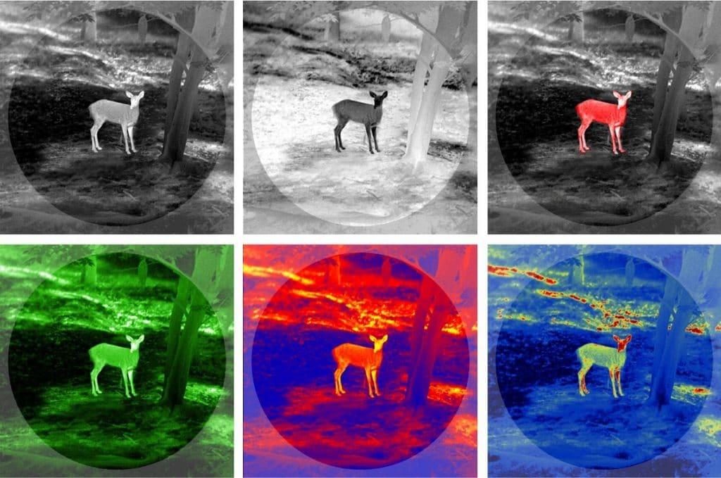 The Best Thermal Scope for Coyote Hunting | American Firearms