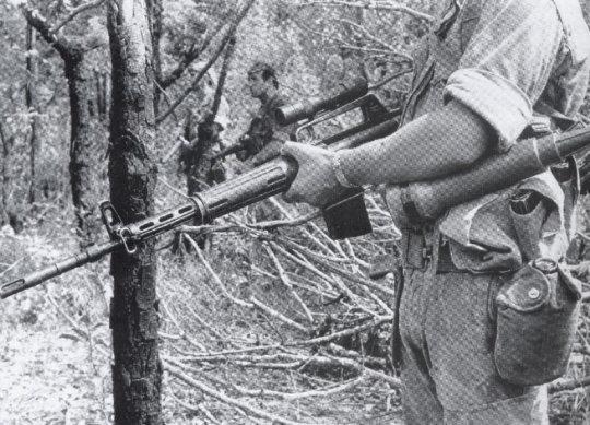 Best AR-10 Rifles: Power, Precision, and Versatility | American Firearms