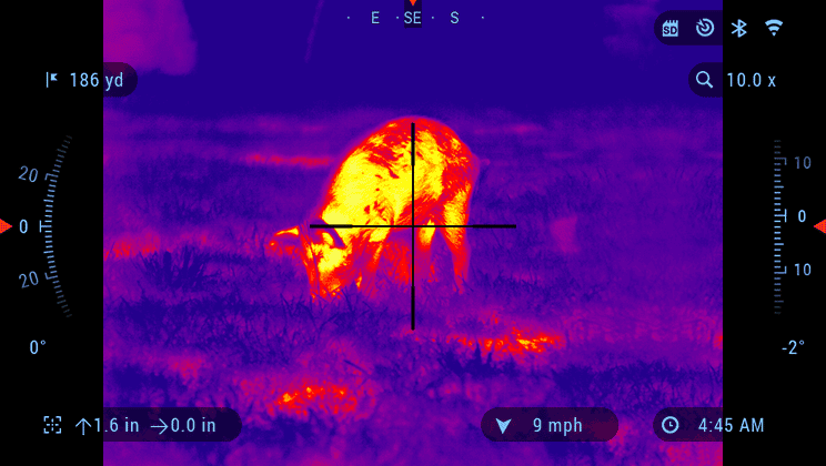 The Best Thermal Scope for Coyote Hunting | American Firearms
