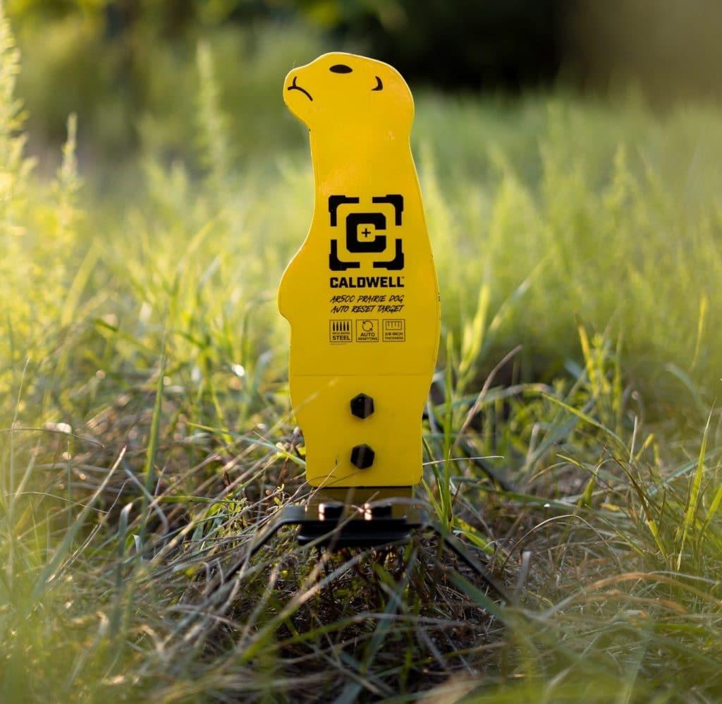 The Best Shooting Targets | American Firearms