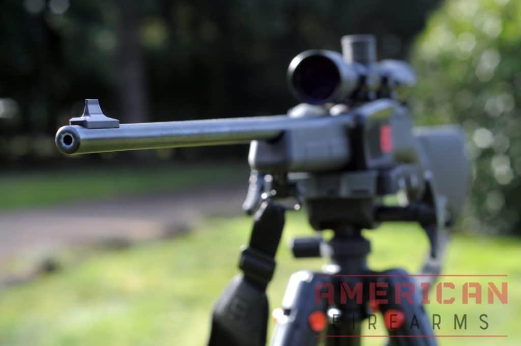 Choosing the Right .17 HMR Rifle: Top Picks and Reviews | American Firearms
